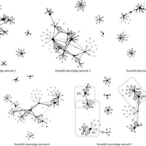Scientific Knowledge Network Evolution Download Scientific Diagram
