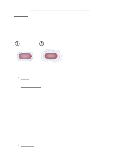 Bacterial Structures External To Cell Wall Pdf Bacteria Chemotaxis