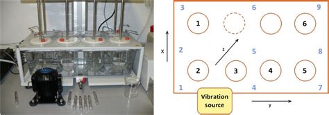 Experimental Setup For The Vibration Experiments Dissolution Bath With