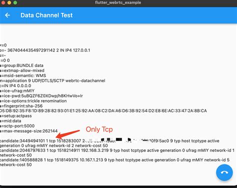 Macos Systems Cannot Open Listening On Udp · Issue 920 · Flutter Webrtcflutter Webrtc · Github