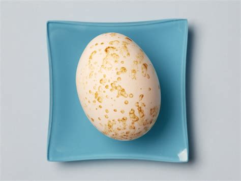 The Seder Plate Breaking Matzo