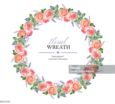 수채화로 칠해진 장미와 라벤더의 화환 흰색 배경에 격리 된 이미지 0명에 대한 스톡 벡터 아트 및 기타 이미지 0명 개체 그룹 결혼식 Istock