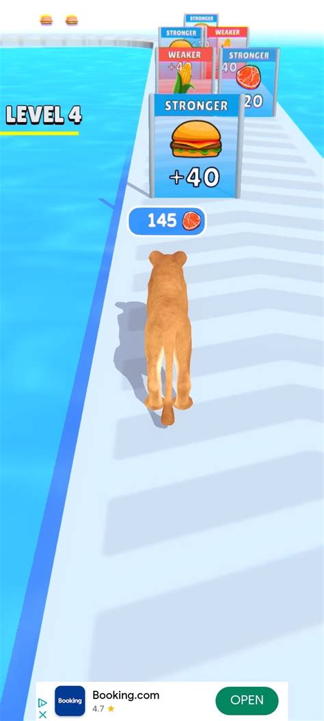 Cat Evolution Apk Download For Android Free