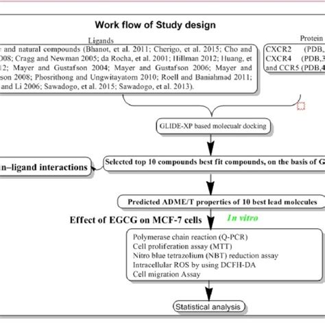 Workflow Of Study Design Download Scientific Diagram
