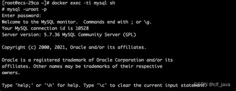 Dcoker命令操作怎么终止docker安装mysql Csdn博客