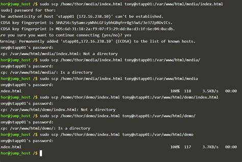Install And Configure Web Application Failed KodeKloud Engineer