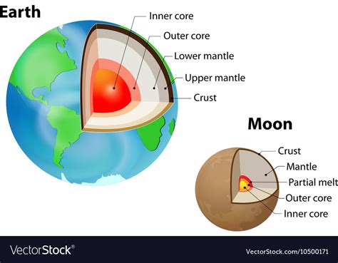 Earth And Moon Internal Structure Royalty Free Vector Image