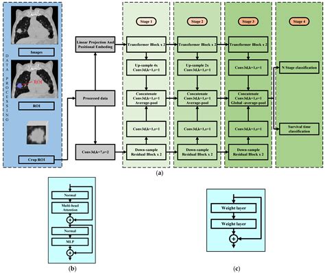 A Hybrid Cnn Transformer Model For Predicting N Staging And Survival In Non Small Cell Lung