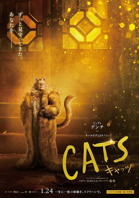 Cats Dvd Release Date Redbox Netflix Itunes Amazon
