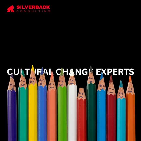 Supplychain Supplychainmanagement Supplychainexcellence Silverback Consulting