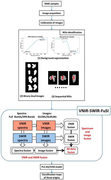 Sensors Free Full Text A Hyperspectral Imaging Approach For Classifying Geographical Origins