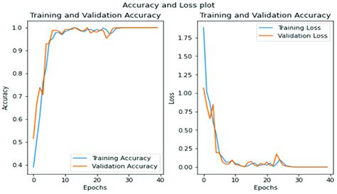 Accuracy And Loss Curves For Training And Validation Data Download Scientific Diagram
