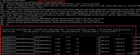 Flink，hudi集成，flink Sql和hive Client端complexavrokeygeneratorflink Csdn博客