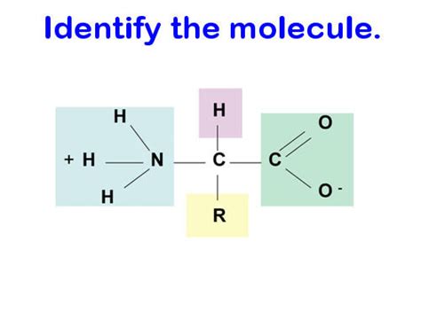Biochem Exam 1 Practice Questions Flashcards Quizlet