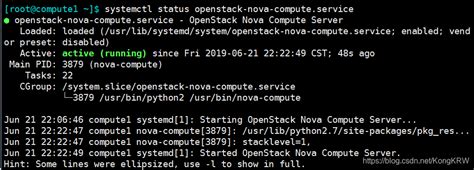 Openstack Nova Rvice 计算节点服务无法启动openstack 服务不报错卡在那kongkrw的博客 Csdn博客