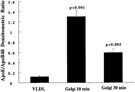 Apoe Apob48 Ratios In Plasma Vldl And Golgi Rich Preparations Of Download Scientific Diagram