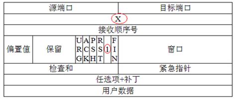 理解tcp序列号（sequence Number）和确认号（acknowledgment Number）说明确认号和序列号的功能 Csdn博客