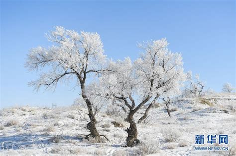 錫林郭勒草原冬日美景 中國國情 中國網