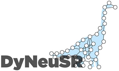 github braindynamicslab dyneusr dynamical neuroimaging