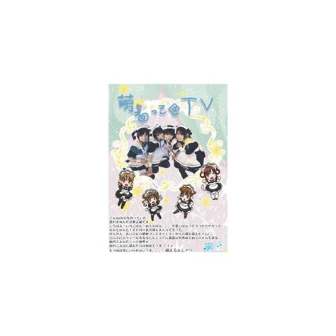 Japanese Gravure Idol Moe Bracket Tv [dvd] Ubuy India