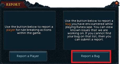 Report A Bug Support