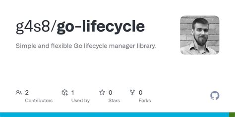 simple and flexible go lifecycle manager library r golang