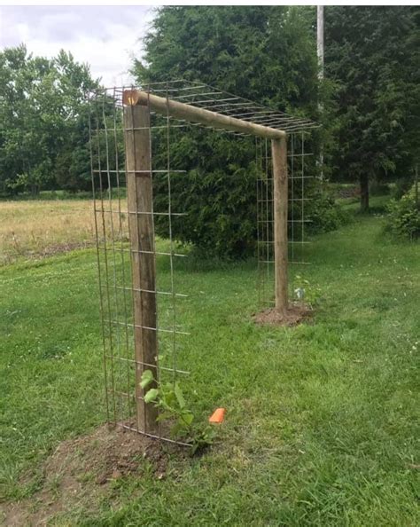 How To Build A Cattle Panel Trellis Arch Artofit