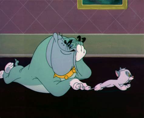 Life With Under 2 Years Experience  On Imgur