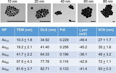 Nanoparticle Characterization Data Representative Transmission Download Scientific Diagram
