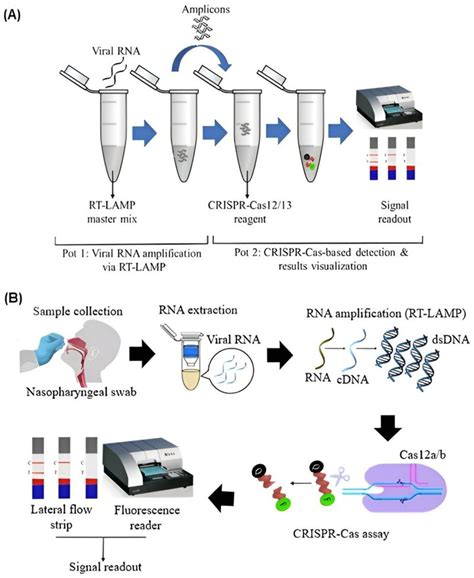 Review Mdpi Crispr Molecular Pathogen Biosensors Sensors Openaccess Abstract