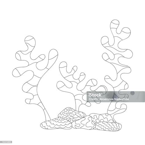 색칠 공부 바다 식물의 수중 세계 낙서로 손으로 그리는 응력 방지 스케치 교육에 대한 스톡 벡터 아트 및 기타 이미지 교육