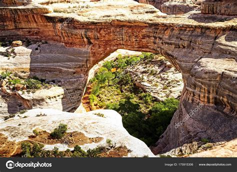 Sipapu Bridge Largest Natural Bridge Natural Bridges 220 Feet High