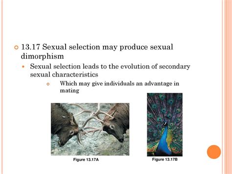 How Populations Evolve Ppt Download