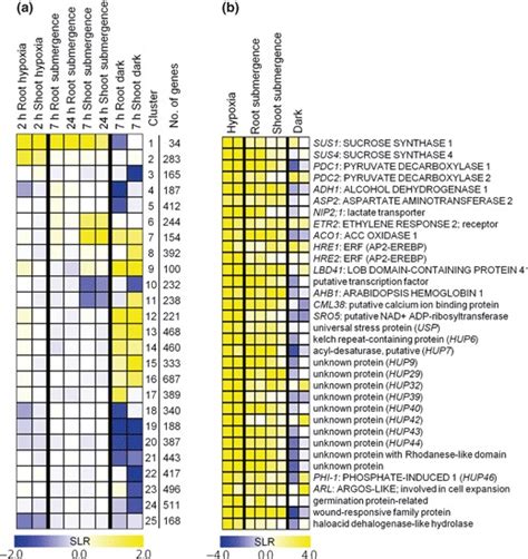 Clustering Of Differentially Expressed Genes Genes Were Selected From Download Scientific