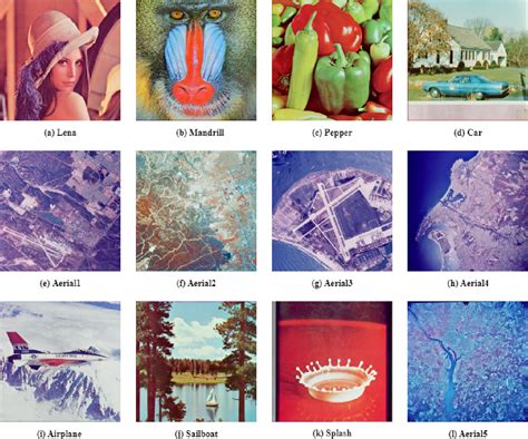 Figure 1 From Hybrid Optimization Based Robust Watermarking Using