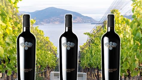 Wine Of The Week Mission Hill Oculus 2019 Maxim