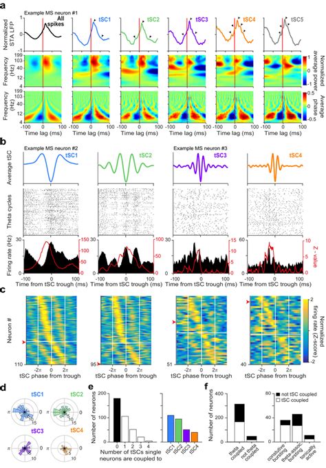 Ms Neurons Show Phase Coupling To Hippocampal Tscs A Top Spike Download Scientific Diagram