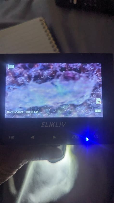 Bug Identification Rbugidentification Bug Identification Rbugidentification