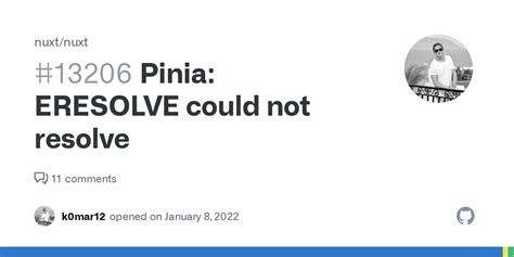 Pinia Eresolve Could Not Resolve · Issue 13206 · Nuxtnuxt · Github
