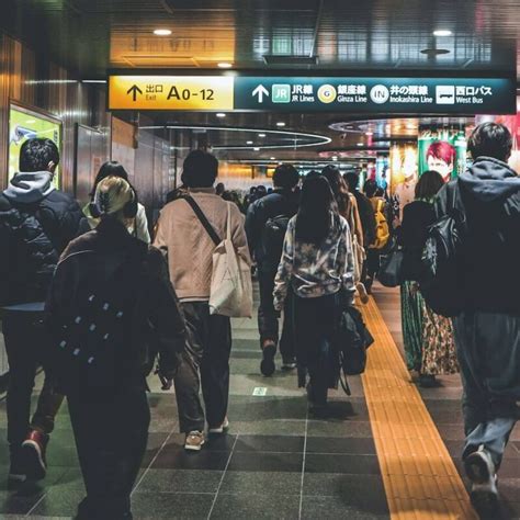 Working Holiday Visa Japan A Step By Step Guide To Get Your Whv