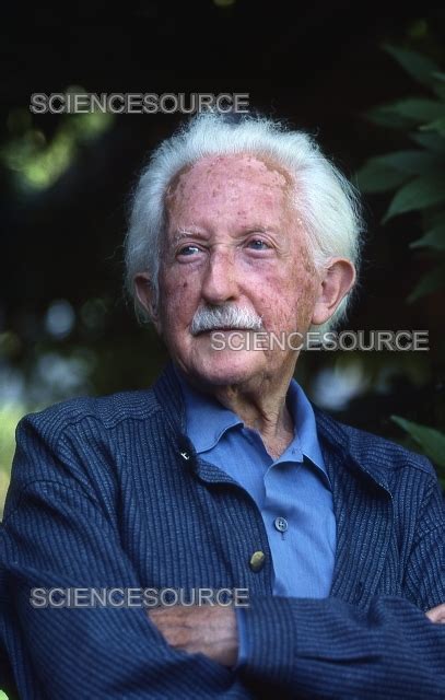 Photograph Erik Erikson Science Source Images
