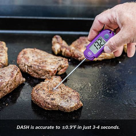 Dash™ Thermometer Thermoworks