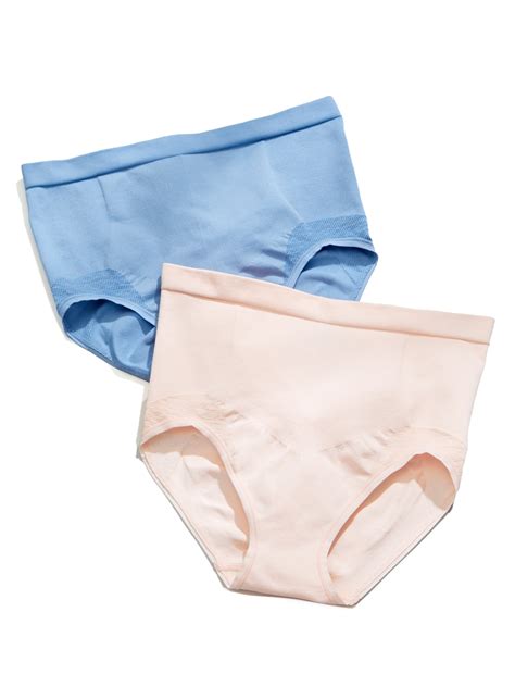 Bali Comfort Revolution Firm Control Brief Panty 2 Pack Blue Skylight