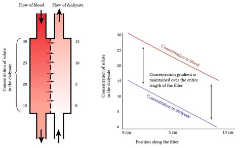 Diffusion In The Counter Current Dialysis Circuit Deranged Physiology