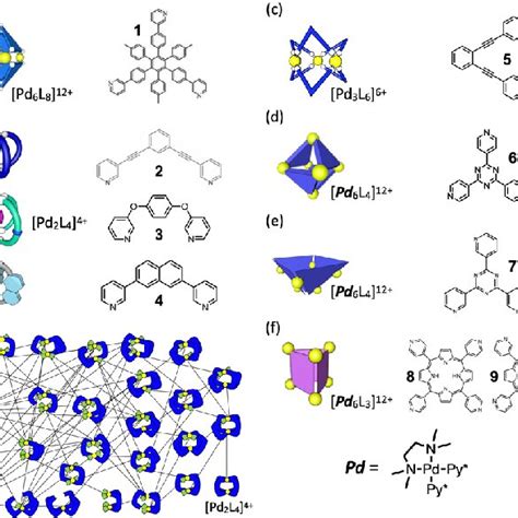 Geometrical Structures Of The Metal Organic Coordination Complexes