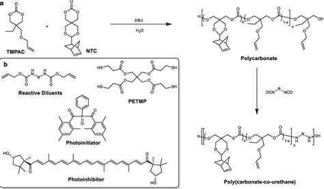 General Reaction Scheme For Producing Aliphatic Polycarbonate Derived
