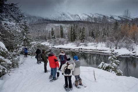 Snow In Kalispell Mt At Tristan Wilkin Blog