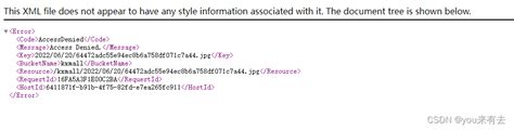 minio accessdenied minio access denied csdn博客