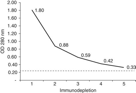 Antibody Purification And Storage
