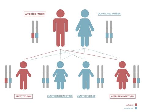 Understanding Nf Anfq